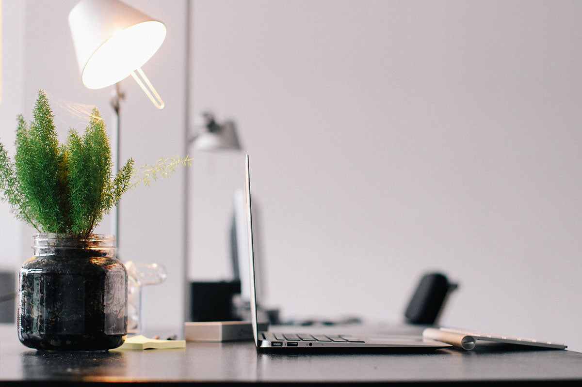 4 Great Reasons for Wearing Slippers at Work | The Babba Blog | Fuzzy Babba